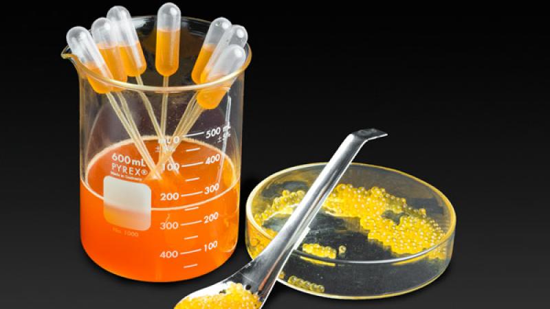 Spherification & Reverse Spherification | Pennsylvania College of ...